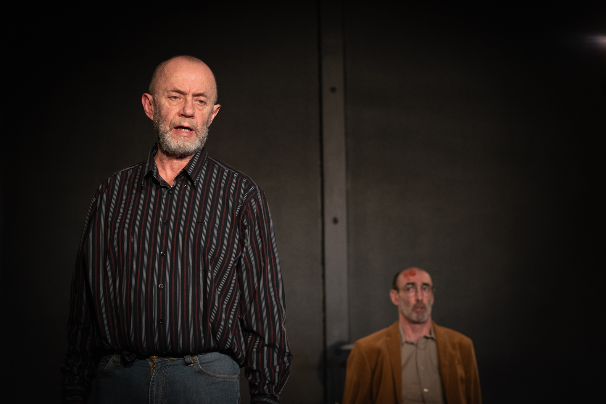 La Jeune Fille et la Mort - Ariel Dorfman - Spectacle de Théâtre